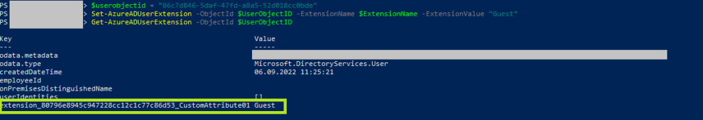 Custom Extension Attributes in Azure AD: How to create them, assign ...
